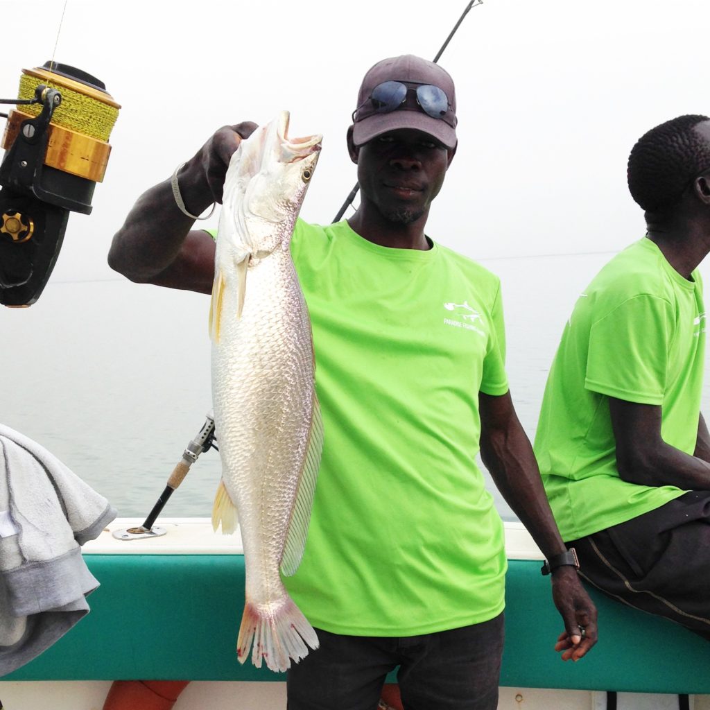 - PARADISE FISHING GAMBIA
