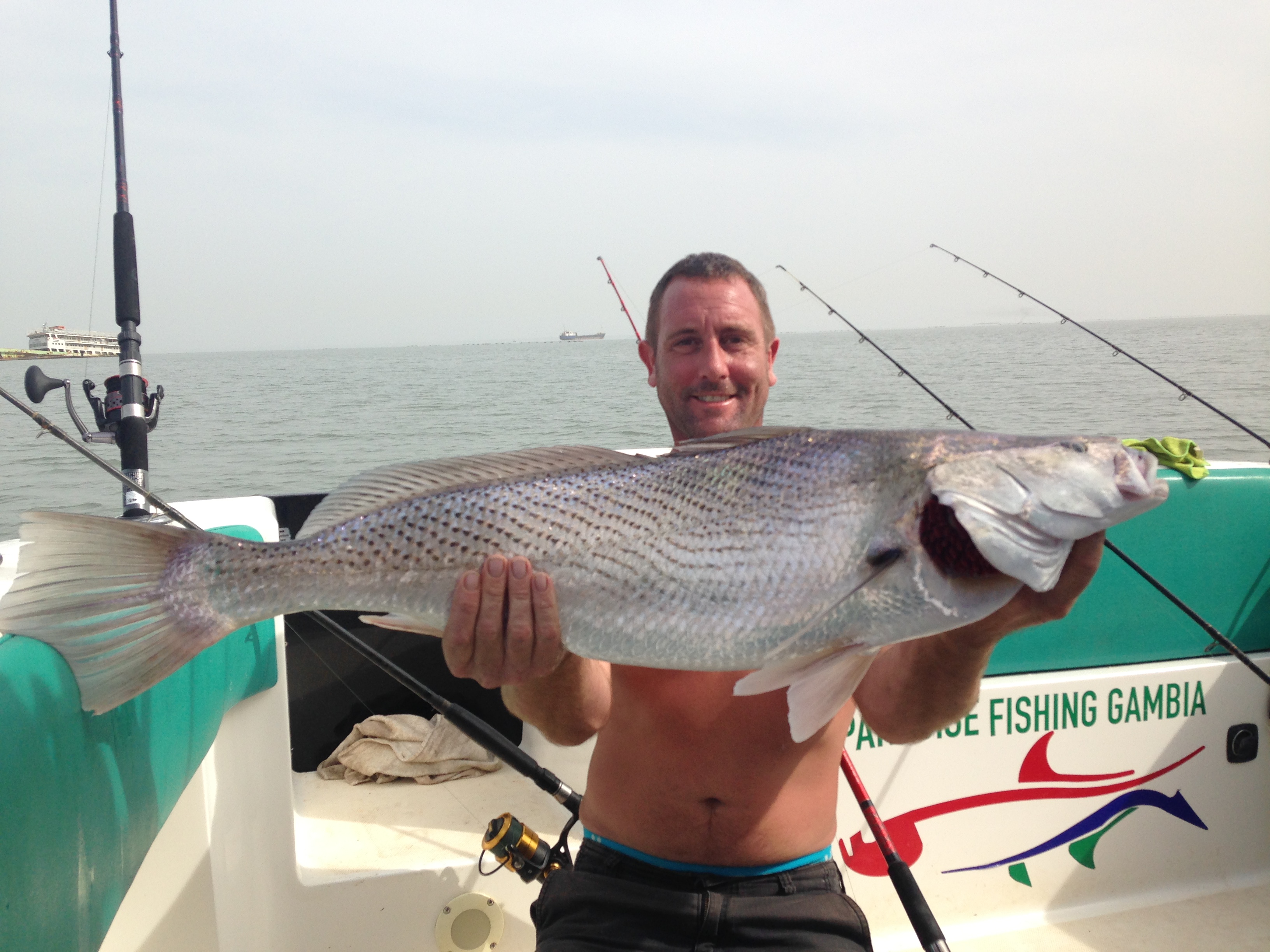 Cassava / november 2019 - PARADISE FISHING GAMBIA
